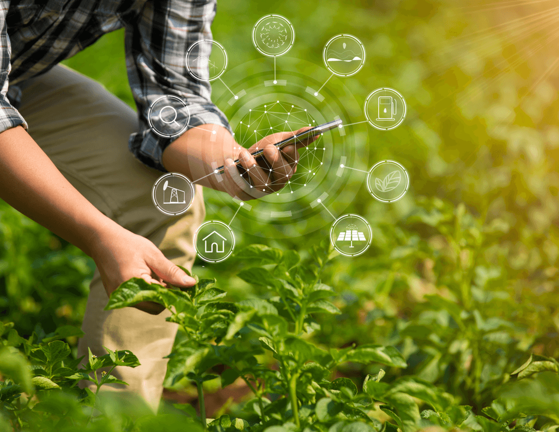 Agriculture Research and Co-ops - MCNC